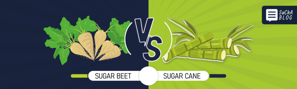 Sugar Cane vs Sugar Beet